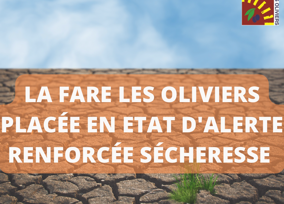 Fête de la Sainte Rosalie - informations pratiques - La Fare les Oliviers